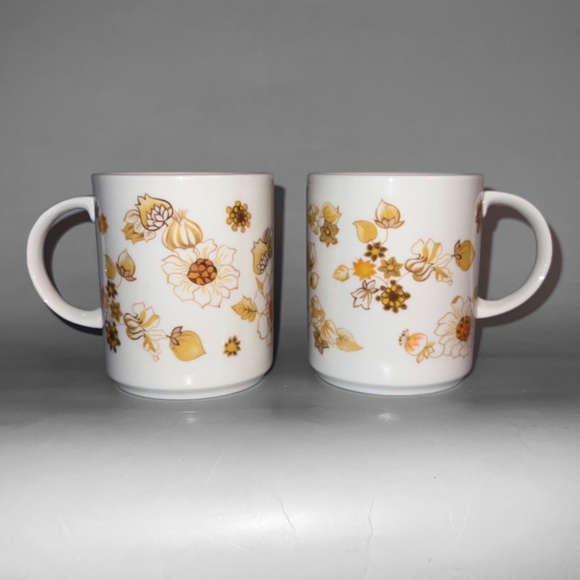 Royal Doulton | Kitchen | 2 Royal Daulton Sundance Mugs | Poshmark